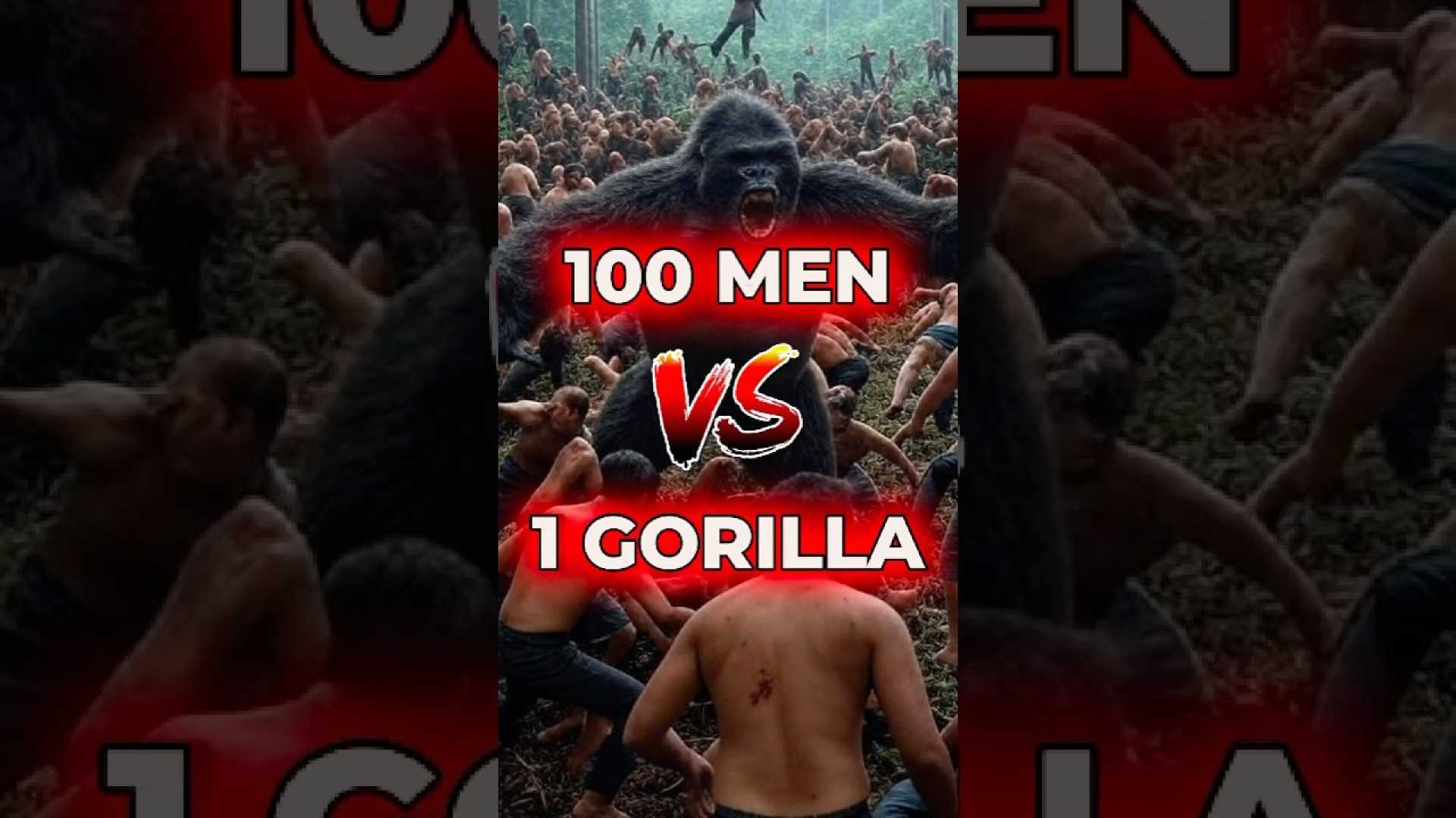 Who Go Win: 100 Men or One Gorilla? Na Serious Matter! - NNN